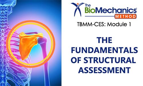 The Fundamentals of Structural Assessment